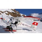 AVID FLYER REPLICA PLANS FOR HOMEBUILD - SIMPLE & CHEAP BUILD 2 SEAT ...