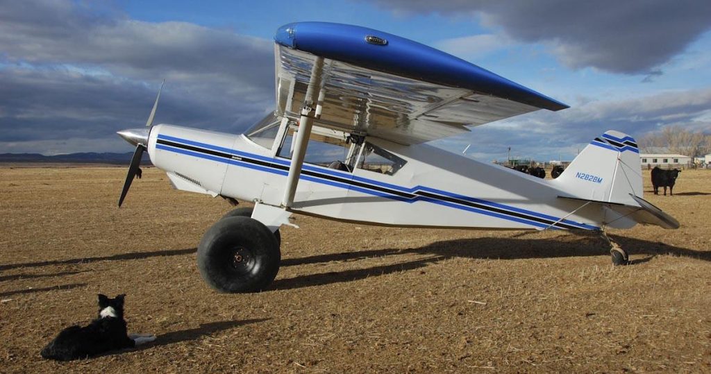 BEARHAWK FAMILY STOL PLANS AND INFORMATION SET FOR HOMEBUILD AIRCRAFT ...
