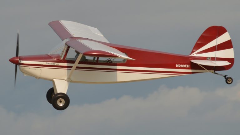 BEARHAWK LSA STOL PLANS AND INFORMATION SET FOR HOMEBUILD AIRCRAFT ...